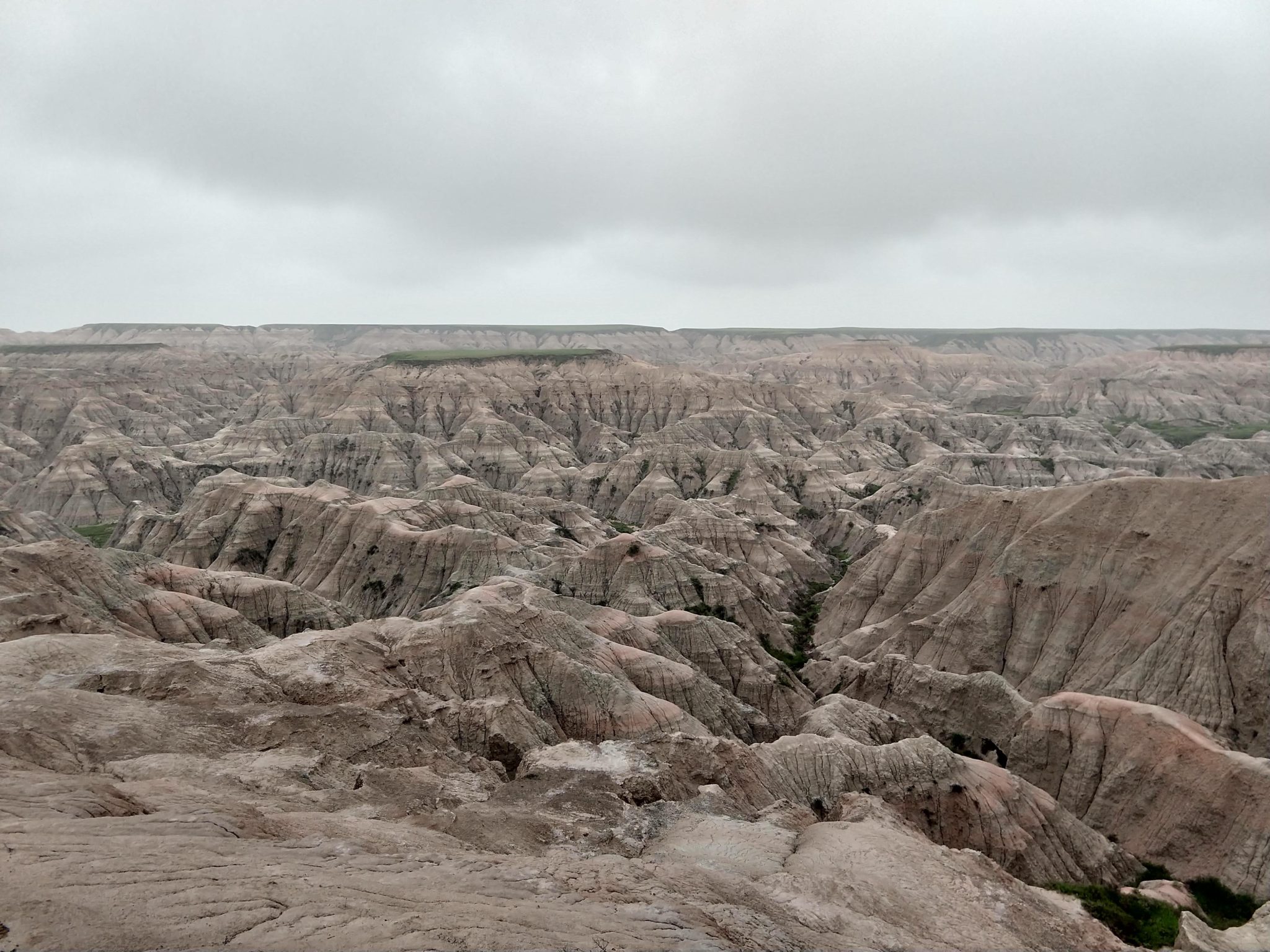 Badlands, Wind Cave, Devils Tower, Grand Tetons & Yellowstone - Tough ...